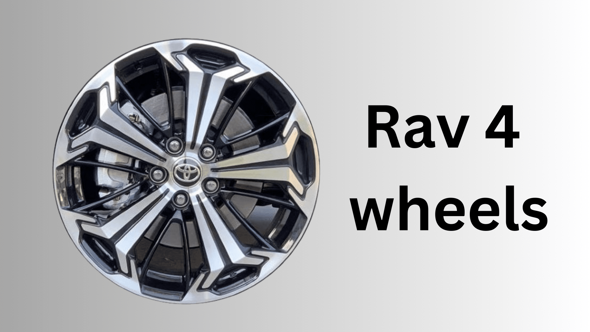 My Guide to Understanding RAV4 Wheels - Opple House