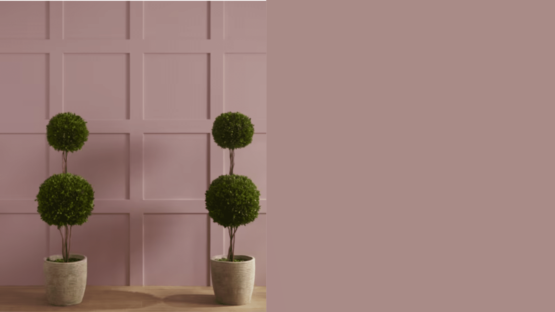 Why Benjamin Moore Barberry (1244) Is a Top Paint Pick? - Opple House