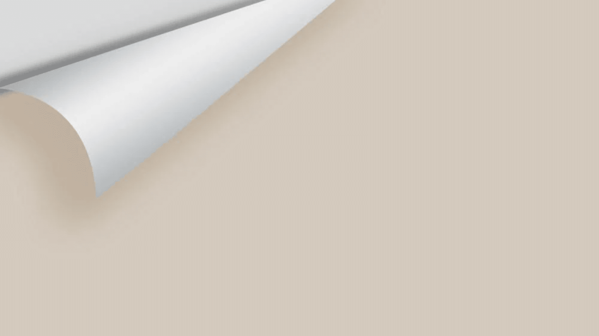 Reviewing Mocha Cream by Benjamin Moore (995) - Opple House