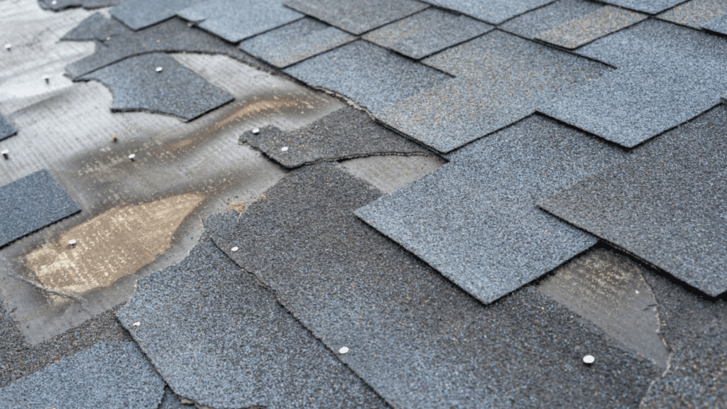 Step-by-Step Guide to Fix Roof Granular Loss - Opple House