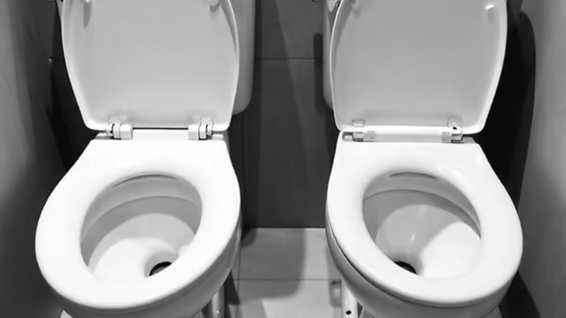 Elongated vs. Round Toilets: Which One Works for You? - Opple House