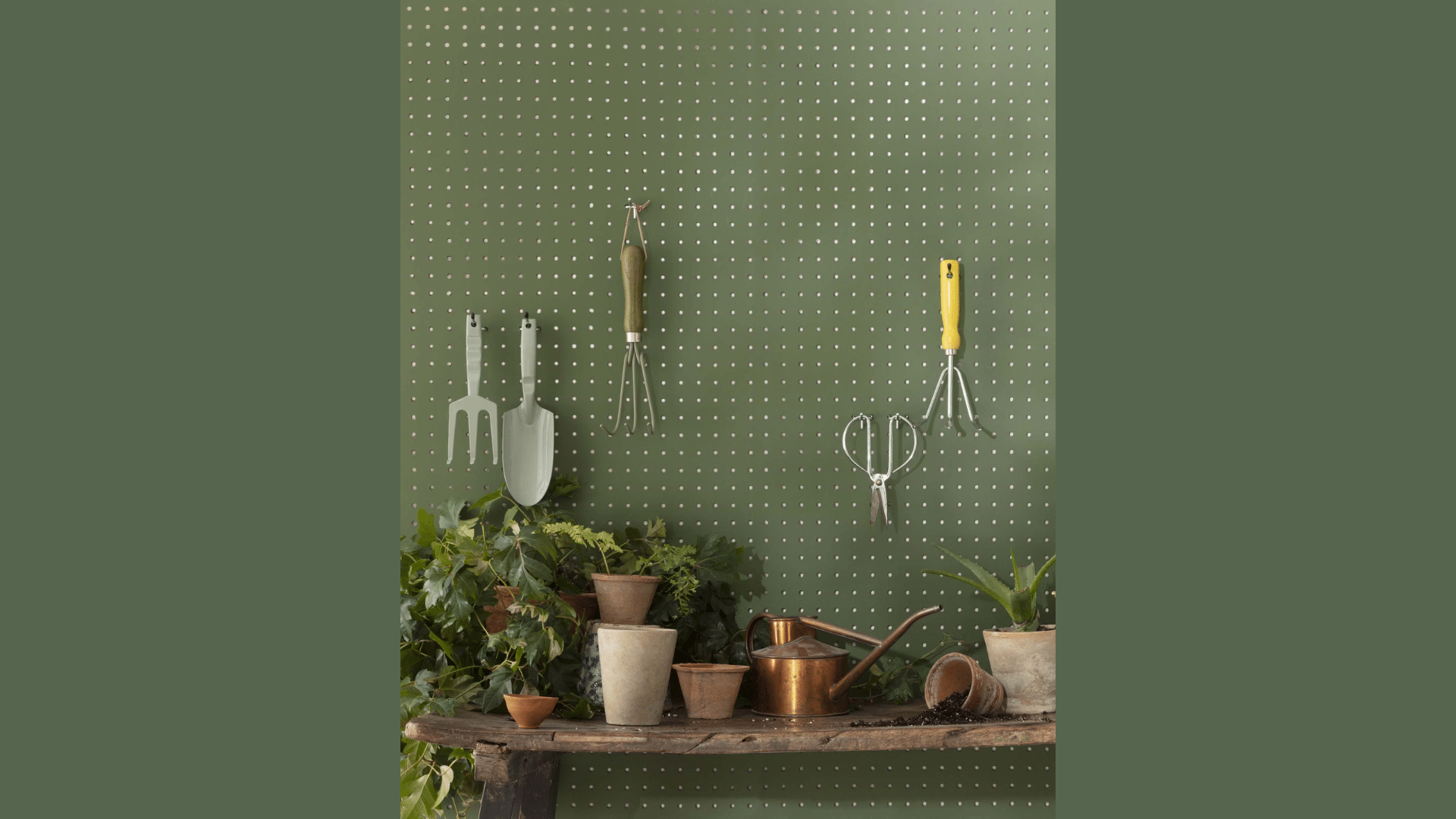 Reviewing Benjamin Moore’s Sweet Basil (455) - Opple House