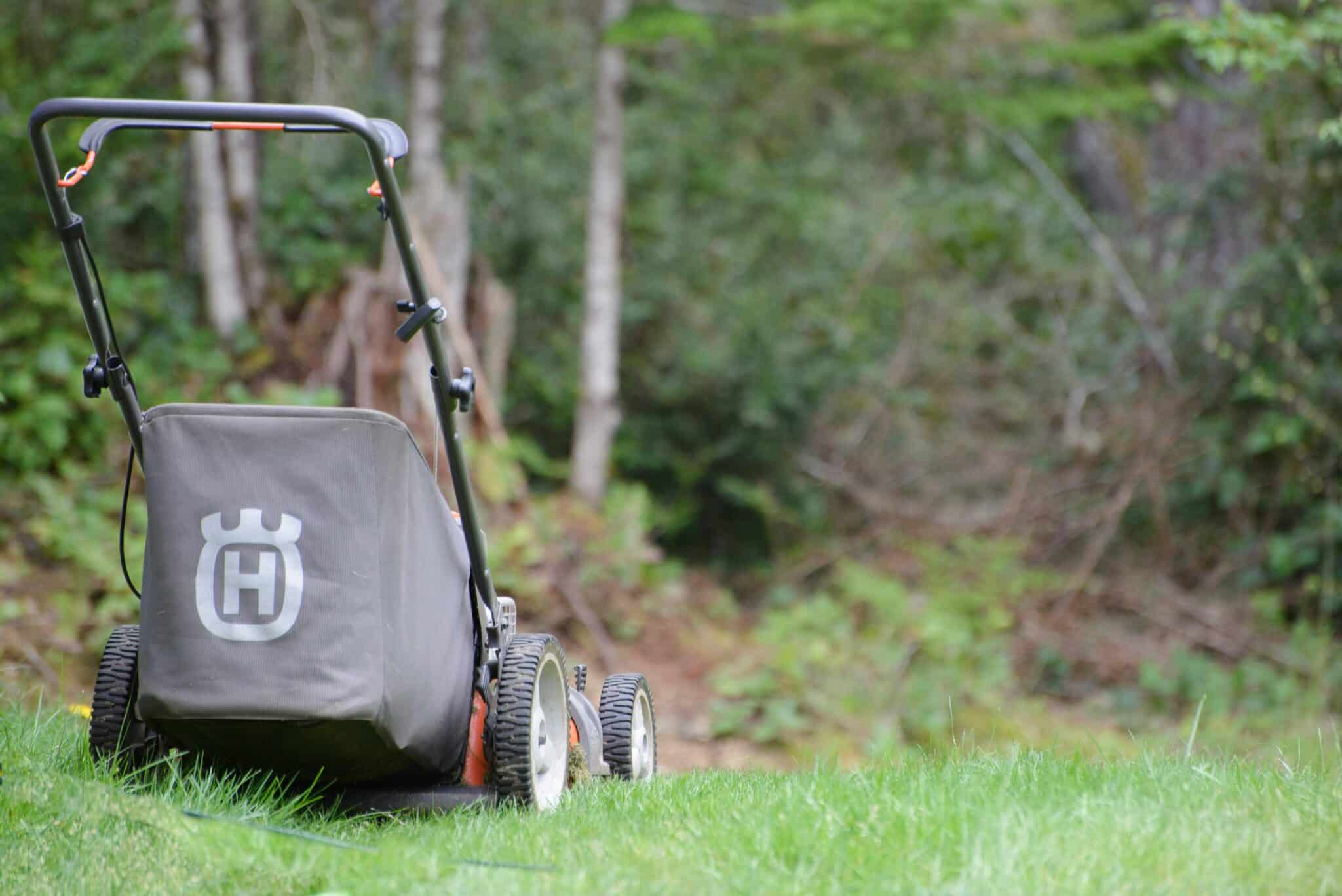 How to Choose the Best Push Leaf Collector for a Large Lawn? - Opple House