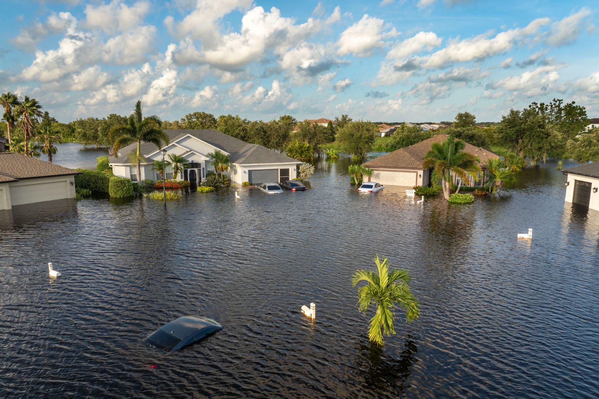 Your Basement Got Flooded – Here’s What to Do Next (And What NOT to Do ...